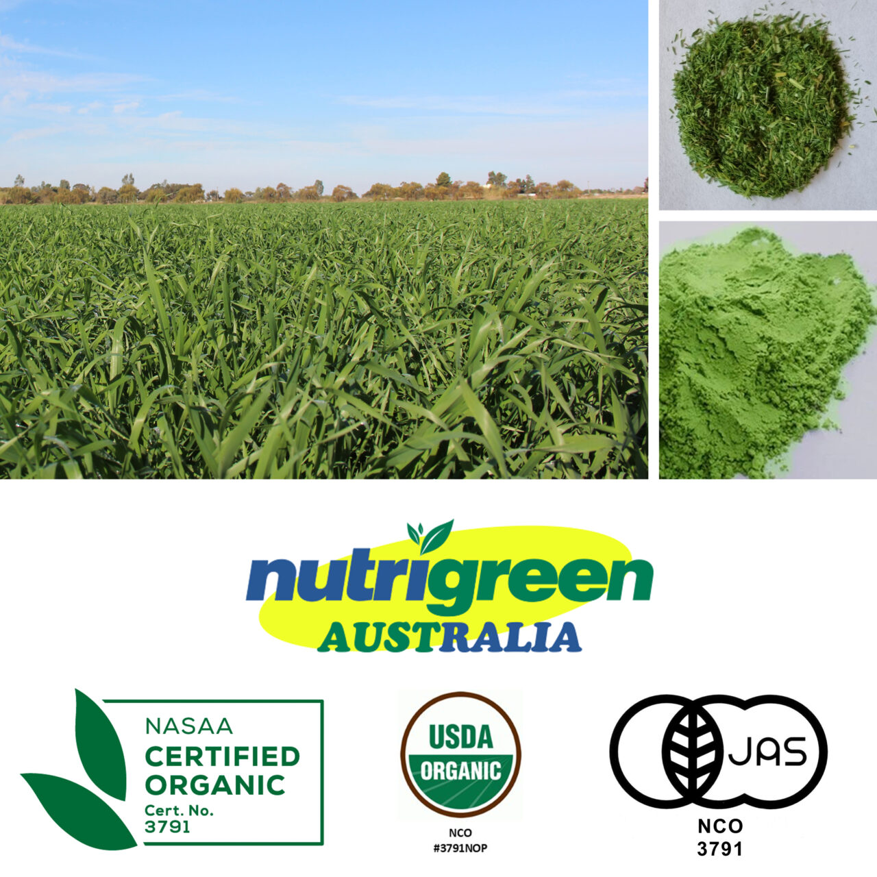 Contact | Nutrigreen